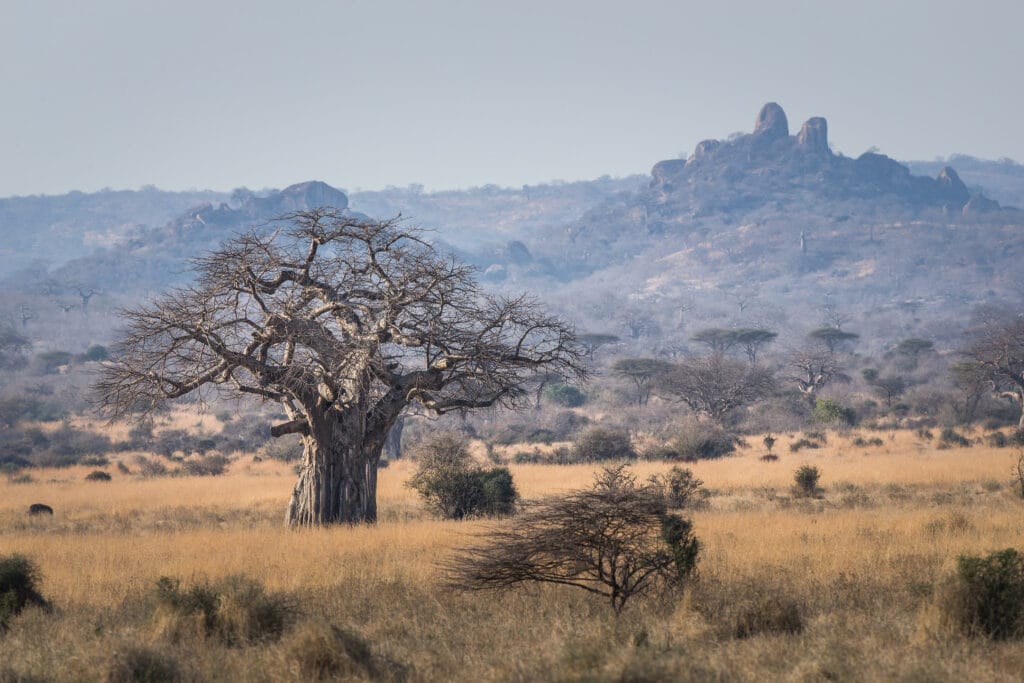 Visiting Africa's Most Remote and Beautiful Parks - Snyman Safaris