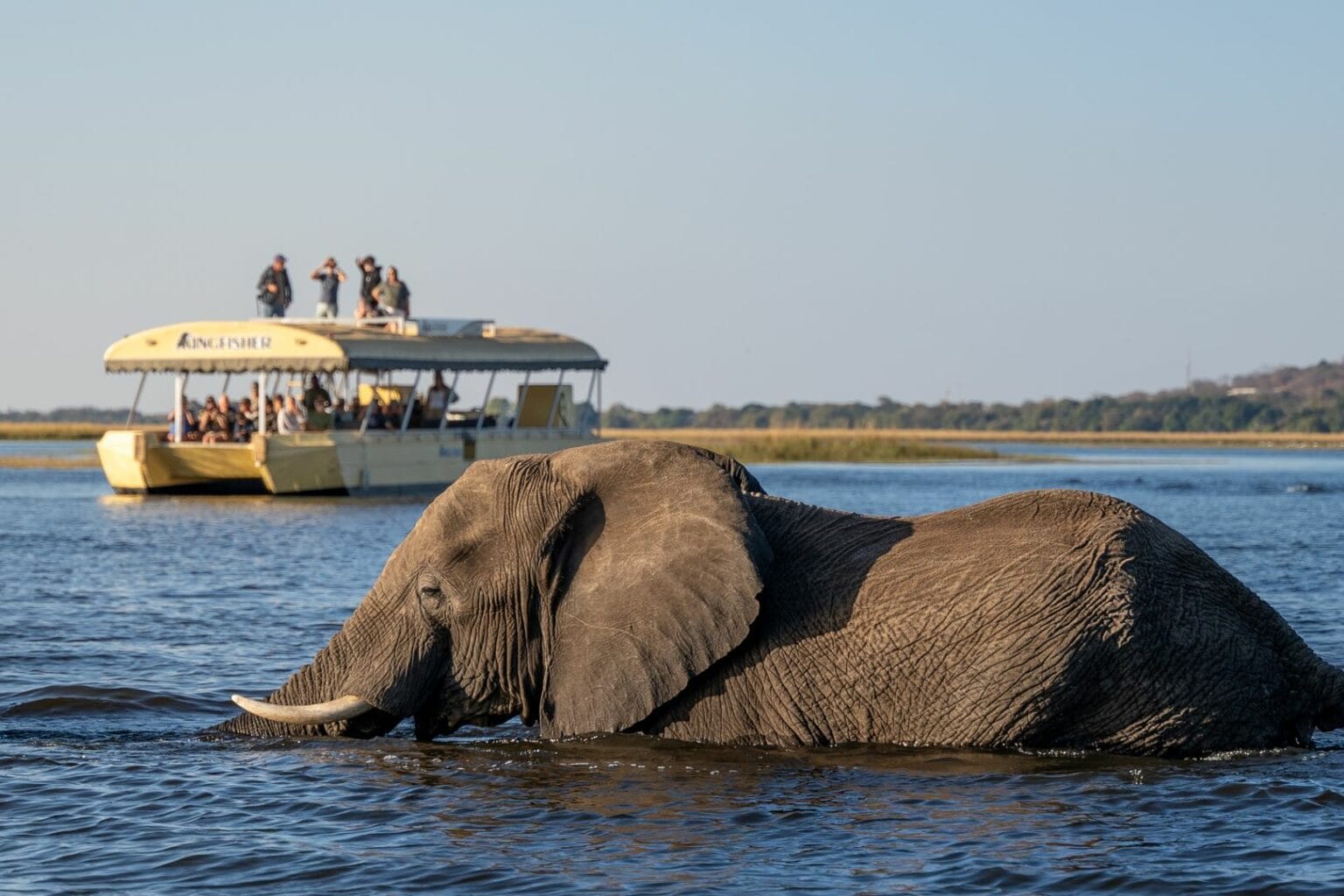 Botswana Safaris Authentic African Safaris