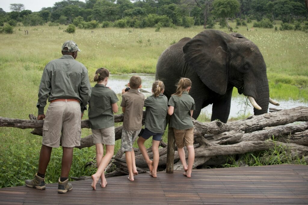 Going on a Family Safari with Kids - Snyman Safaris