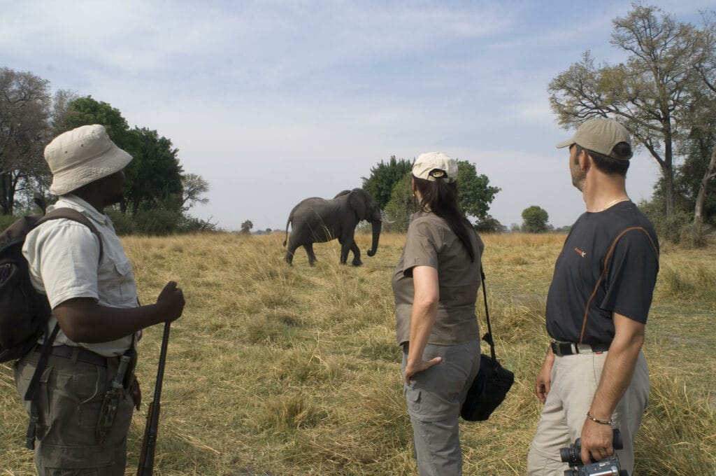 Going on a Walking Safari with Snyman Safaris - Snyman Safaris