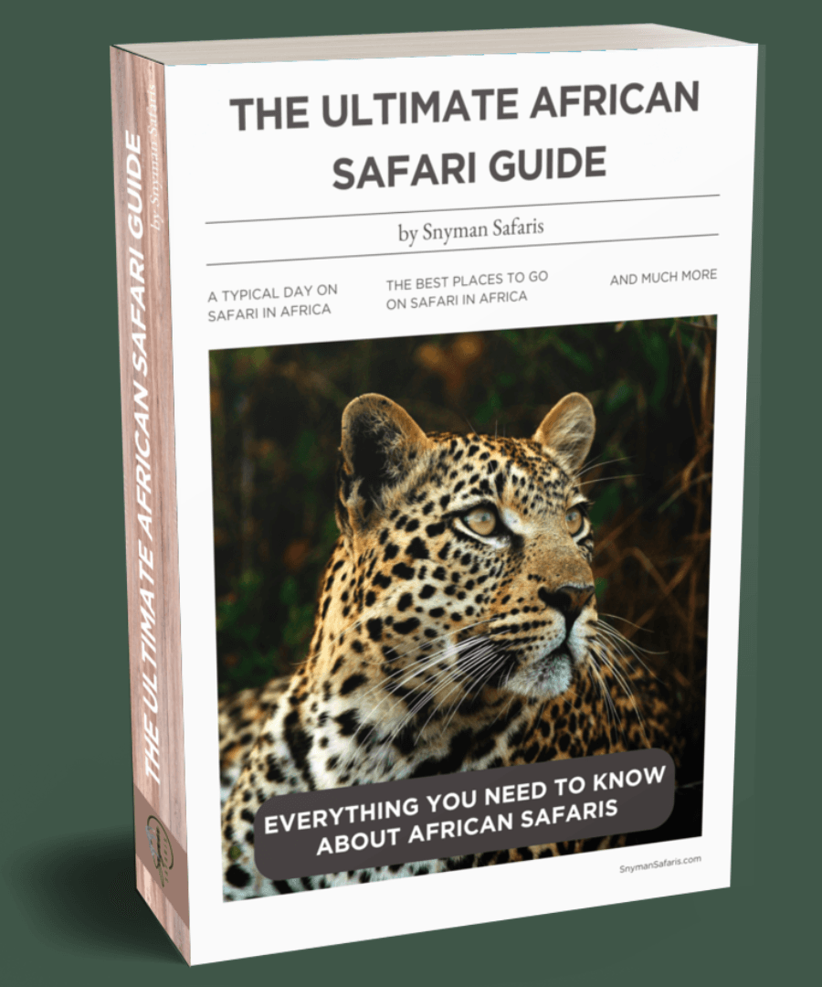 Snyman Safaris - Tailormade African Safaris