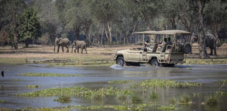 Tipping on Safari Explained - A Guide to Gratuities in the Wild ...