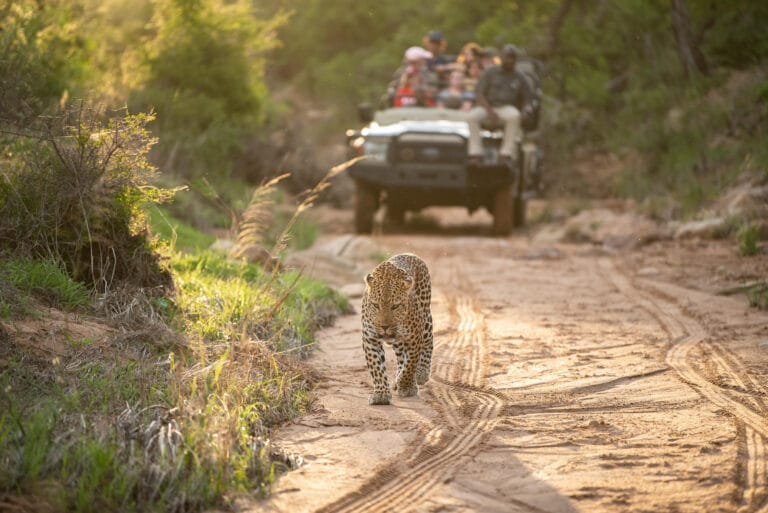 Snyman Safaris - Tailormade African Safaris